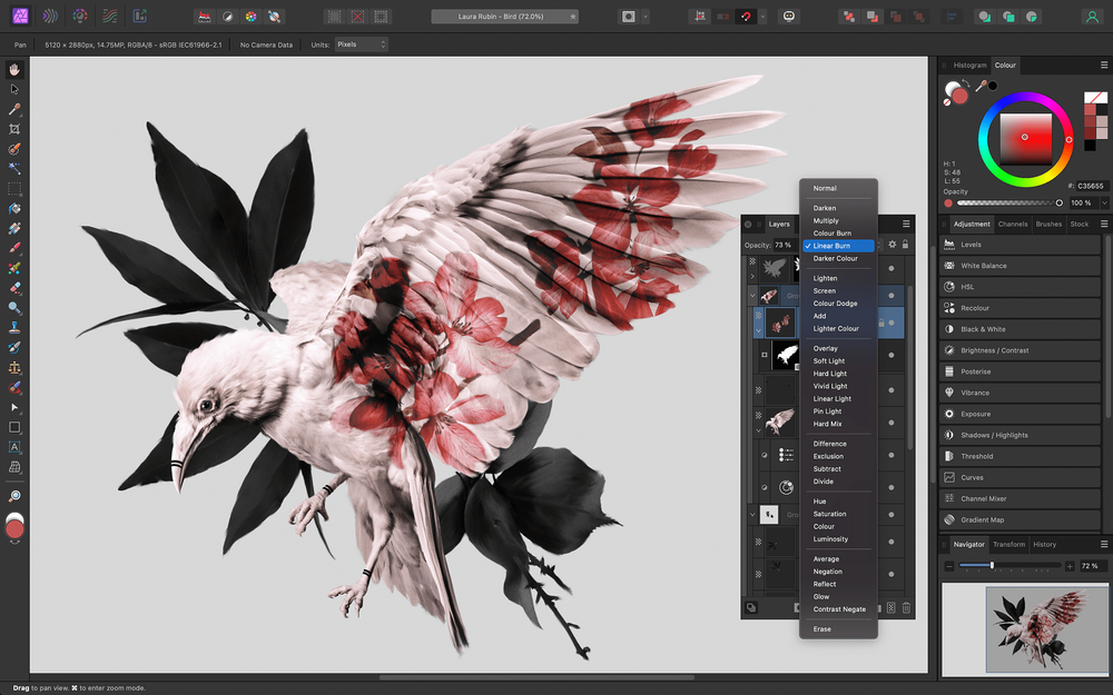 Affinity offers a six-month free trial of design software